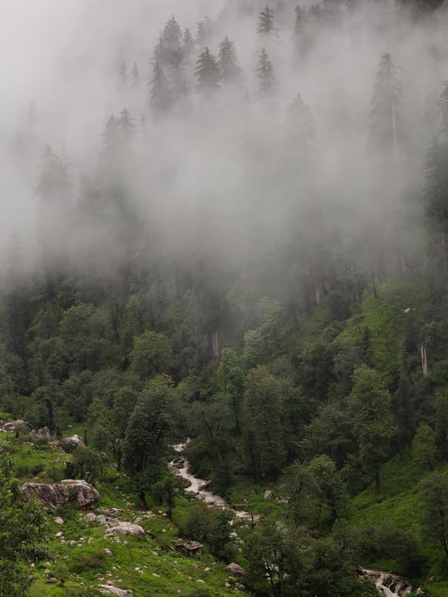 Places to Stay in Jibhi | Accommodations Guide | Jibhi Valley Guide