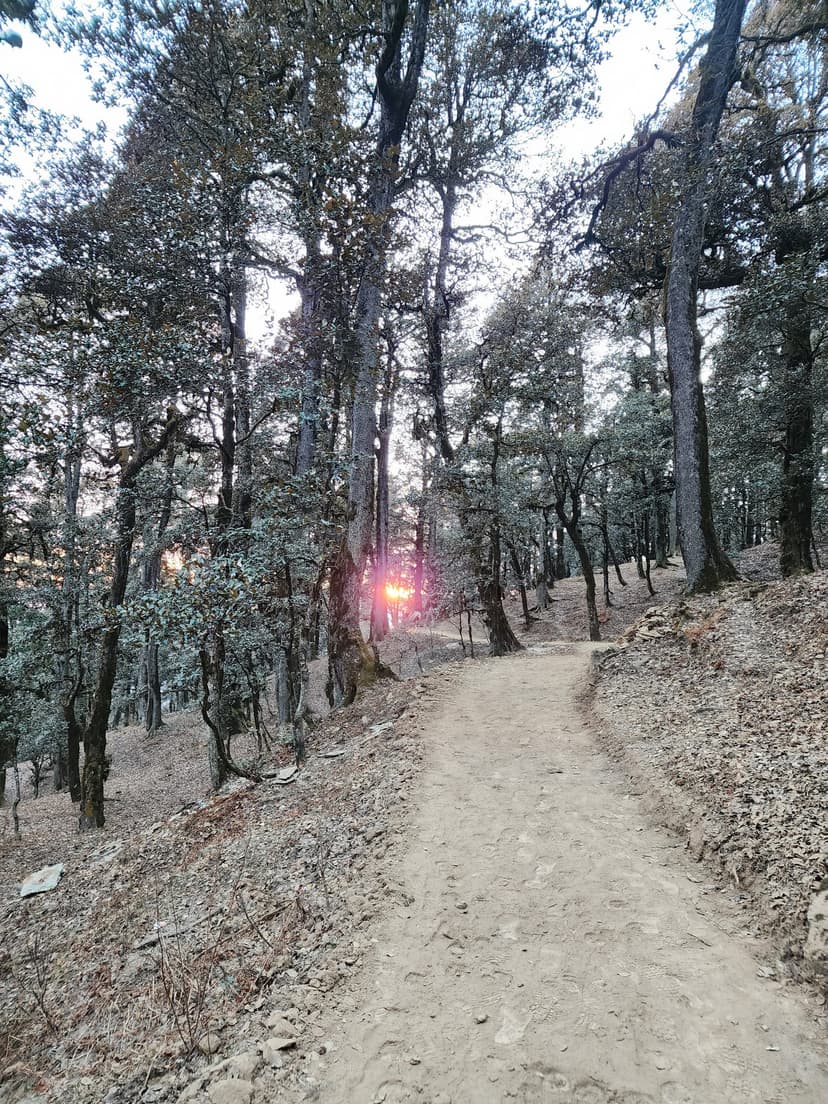Raghupur Fort Trek Guide | Jibhi to Jalori Pass | Jibhi Valley Guide